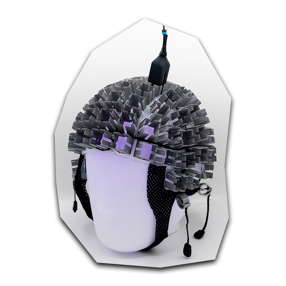 MEG (MagnetoEncephaloGraphy) | Brainbox